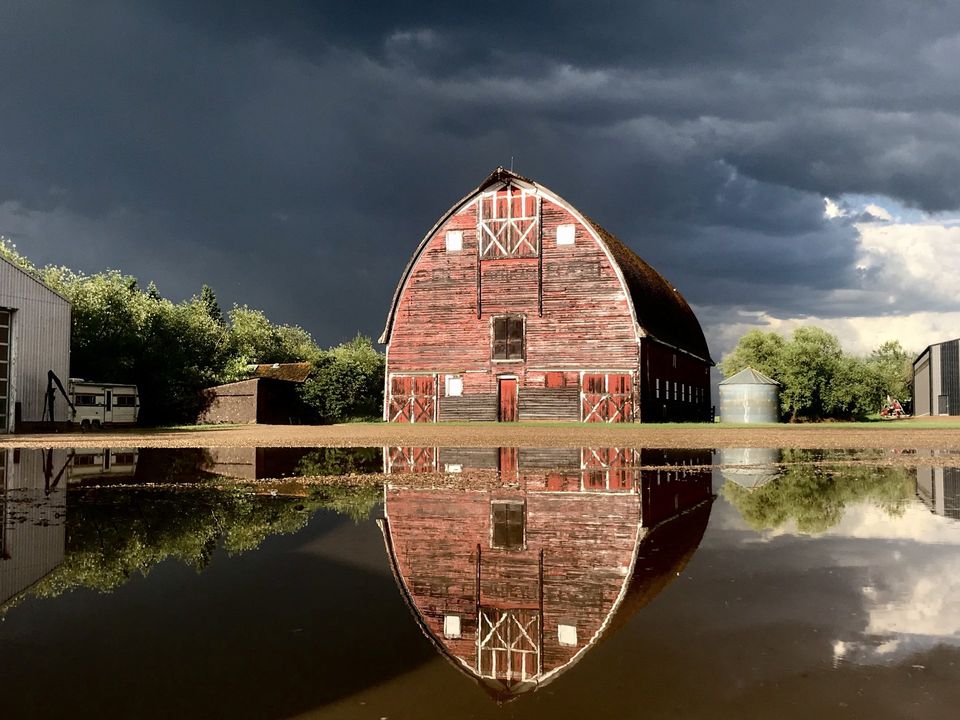 Stories of Alberta: Killam's Coldstream Barn