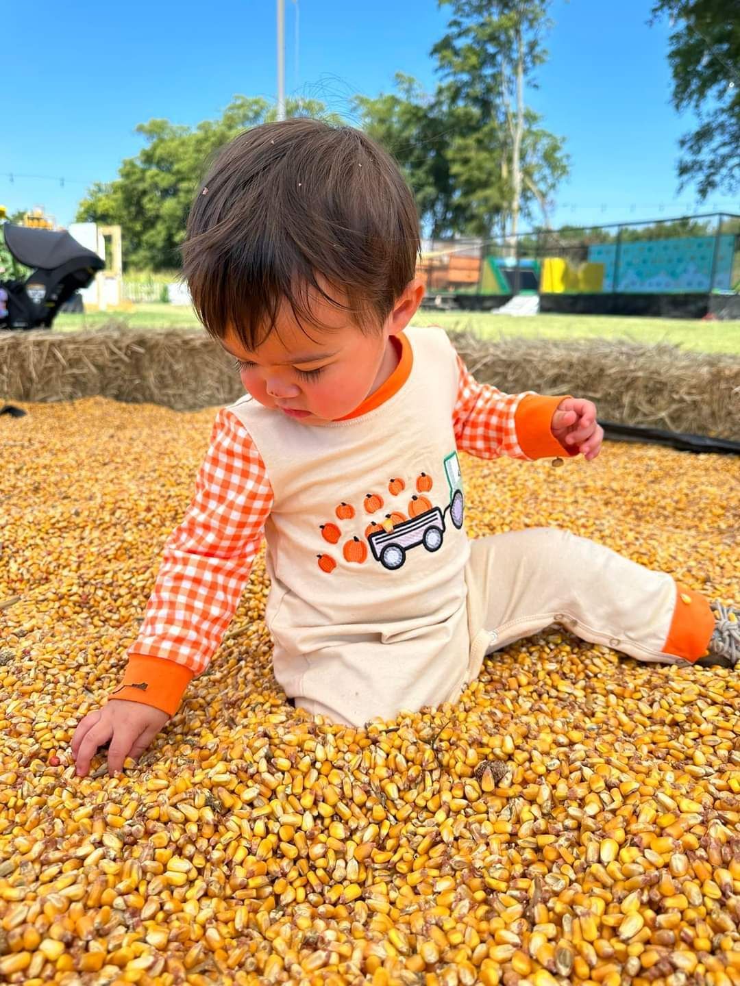 Fun Farm- Pumpkin Patch - Adventure Park