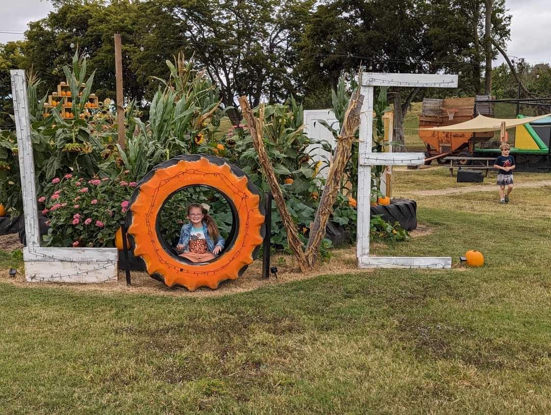 Fun Farm- Pumpkin Patch - Adventure Park