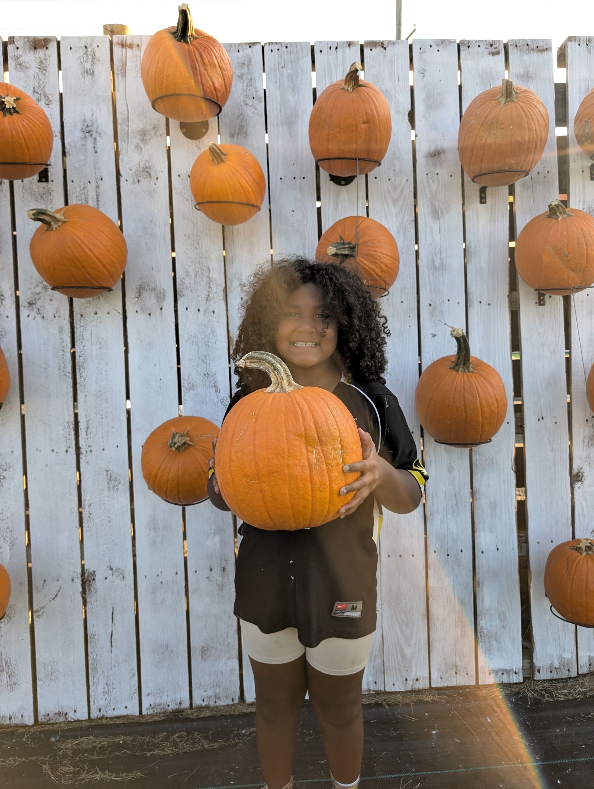 Fun Farm- Pumpkin Patch - Adventure Park