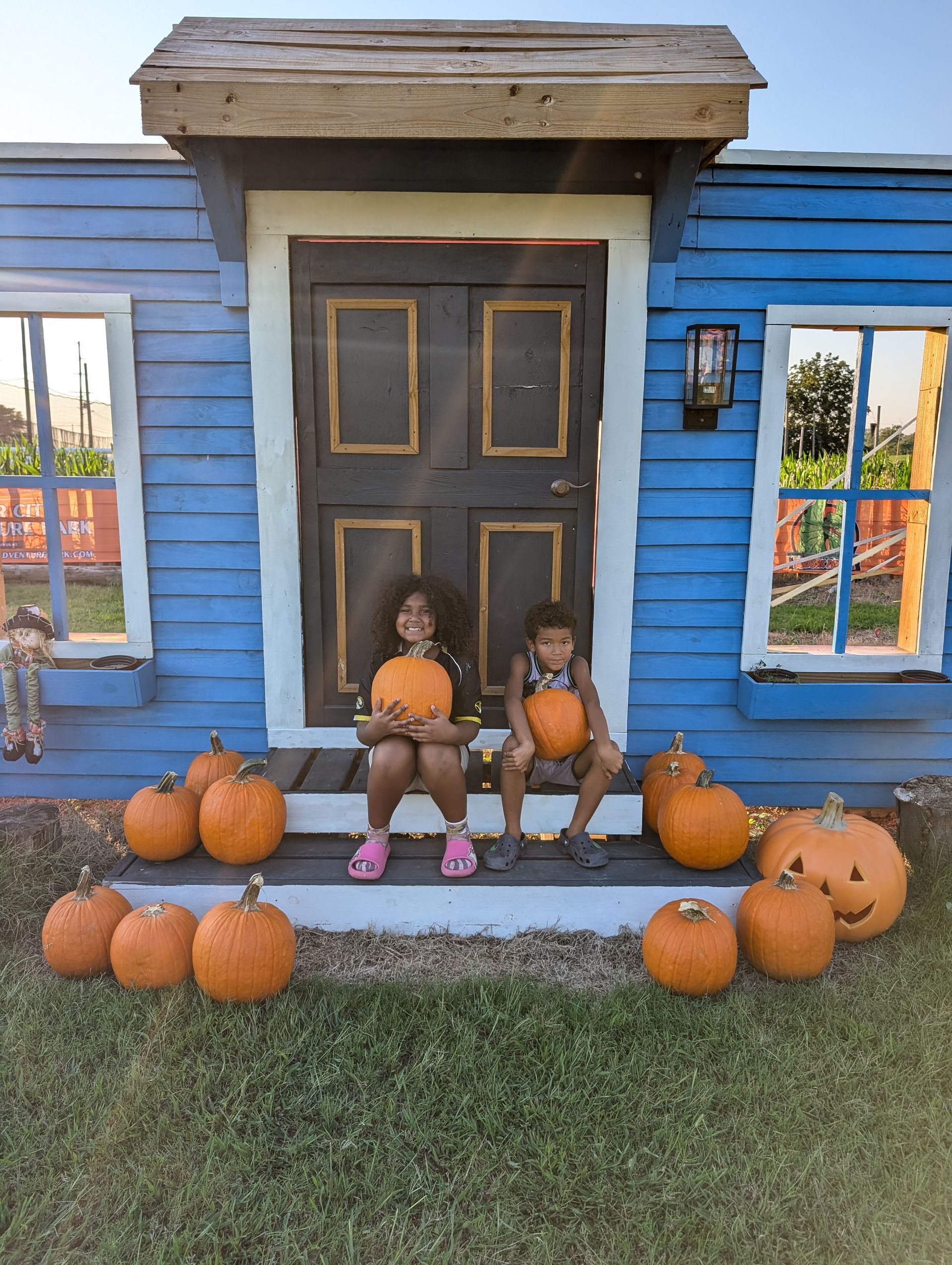 Fun Farm- Pumpkin Patch - Adventure Park
