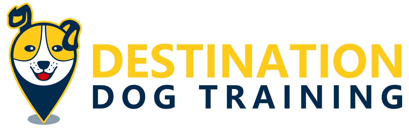 Results | Destination Dog Training | Glendale, AZ