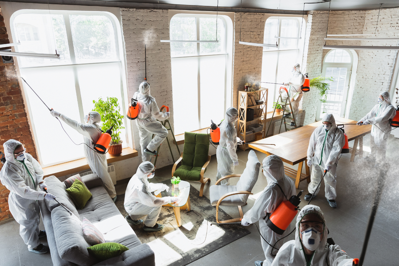 Mold Remediation Company Insurance (Cost & Coverage)