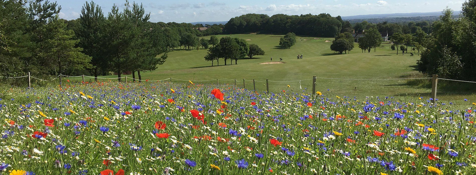 Pakenham Windmill - Specialist supplier in animal feed.