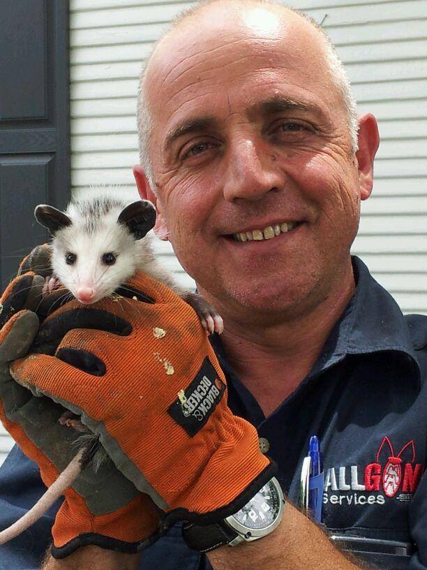 Pest Control | Hurst, TX | ALLGone Services