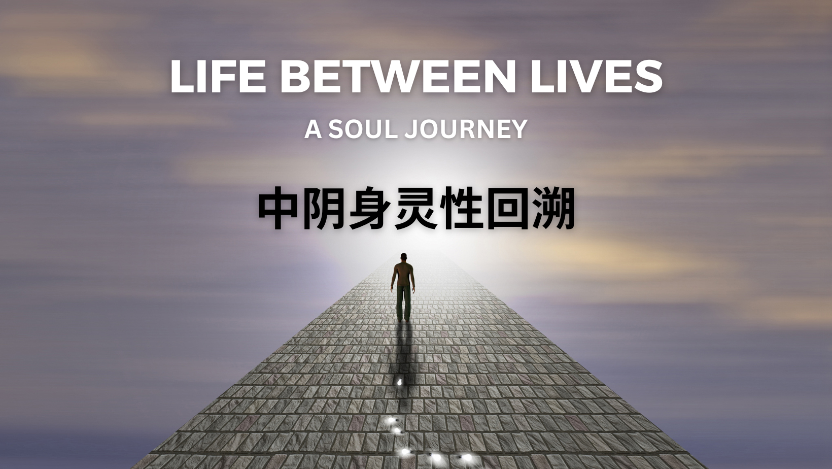 Life Between Lives