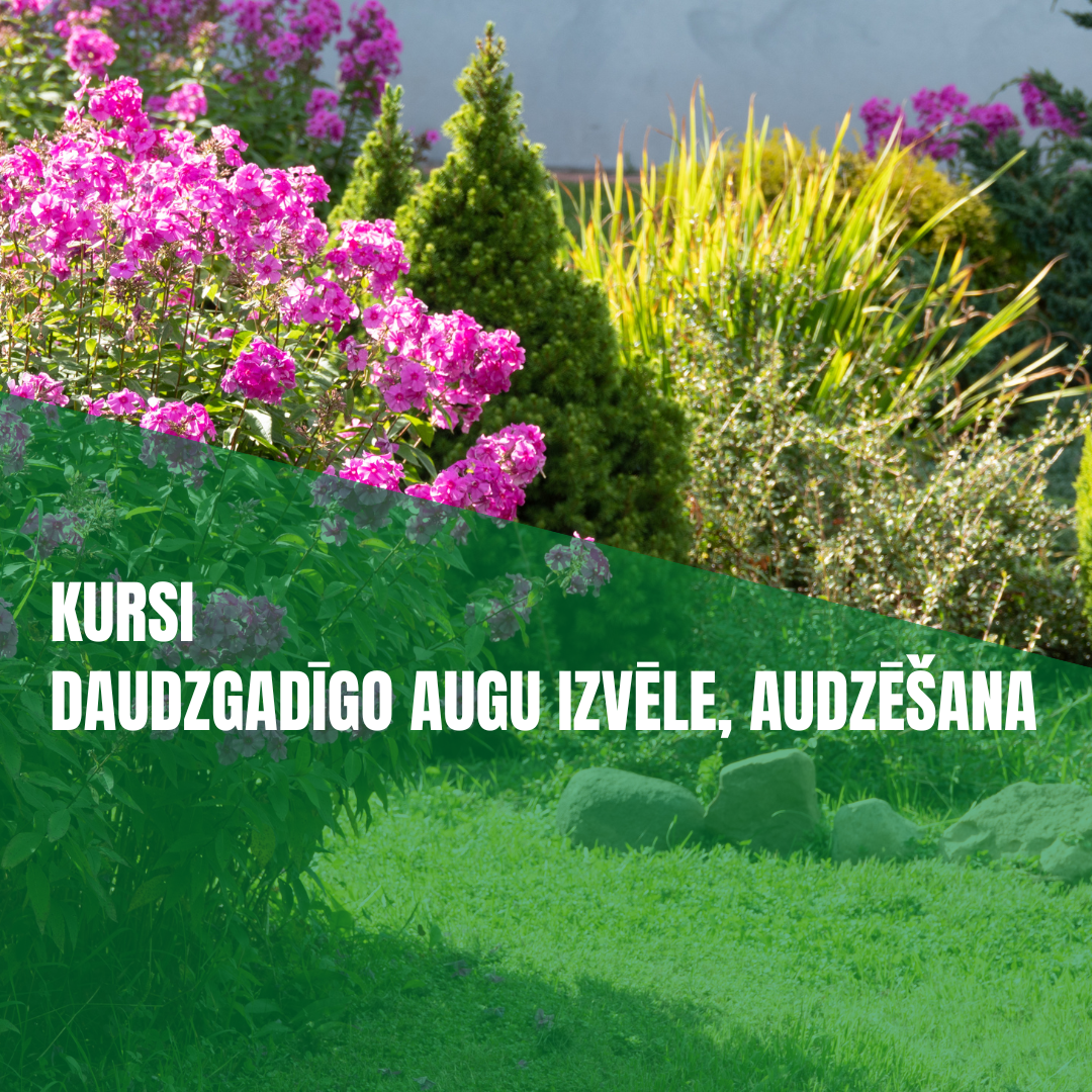 Tiešsaistes kursi "Daudzgadīgo augu izvēle, audzēšana"