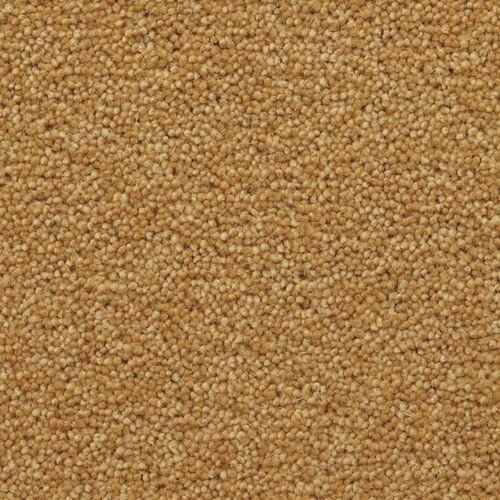 Axminster Carpets - Devonia Plain | Bristol Stockist | CW Jones