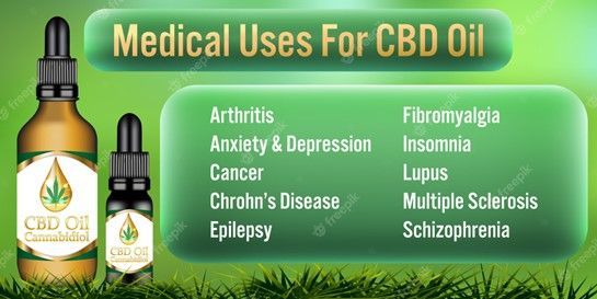 The Comprehensive Guide to CBD Health Products: Benefits, Safety, and ...