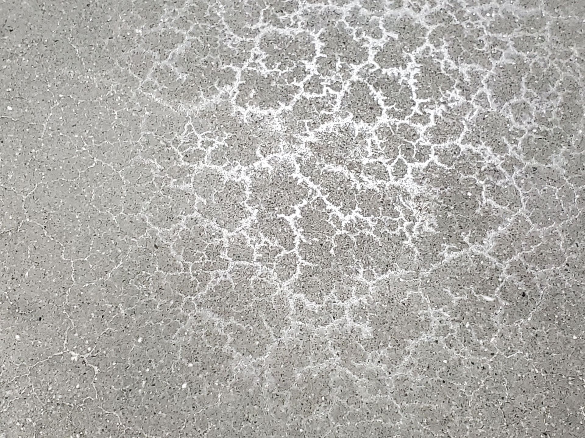 CIA | Concrete Intelligence Agency