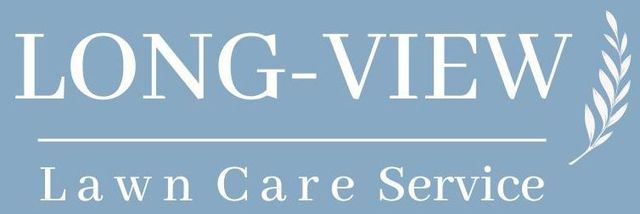 Long View Logo The Long View | Vogue Business