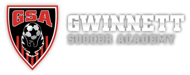 Nasa U12 Soccer Logo