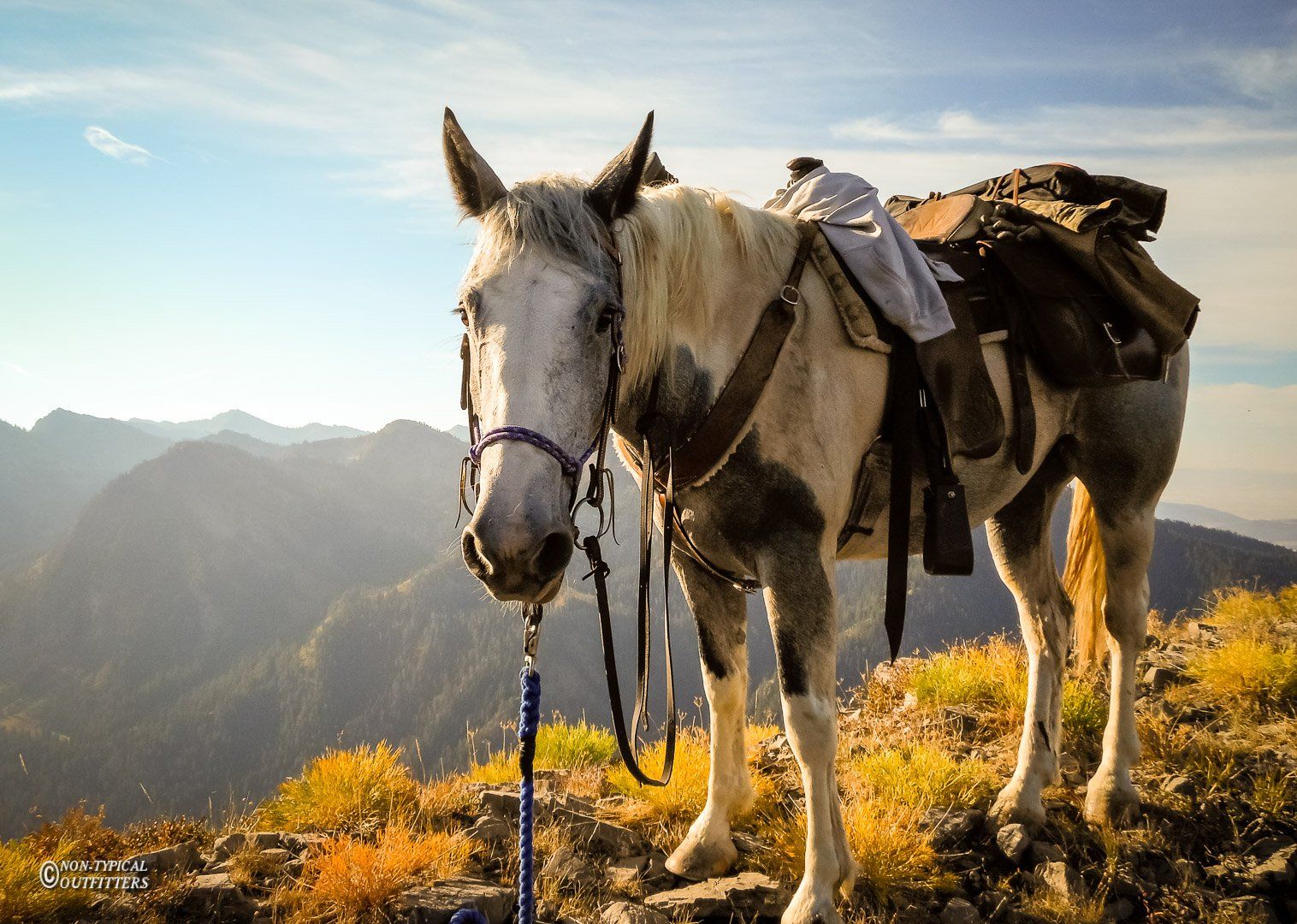 NON-TYPICAL OUTFITTERS | CREW AND COUNTRY