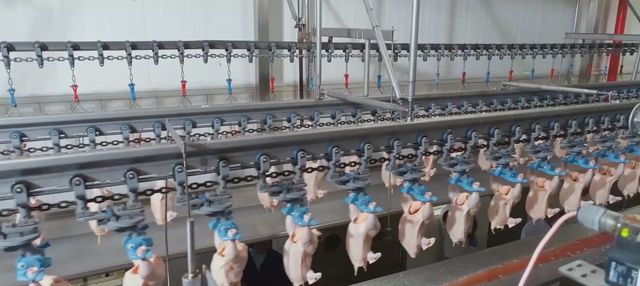 Abate Halal Entenda Mais Sobre A Crise De Carne Halal Na Europa