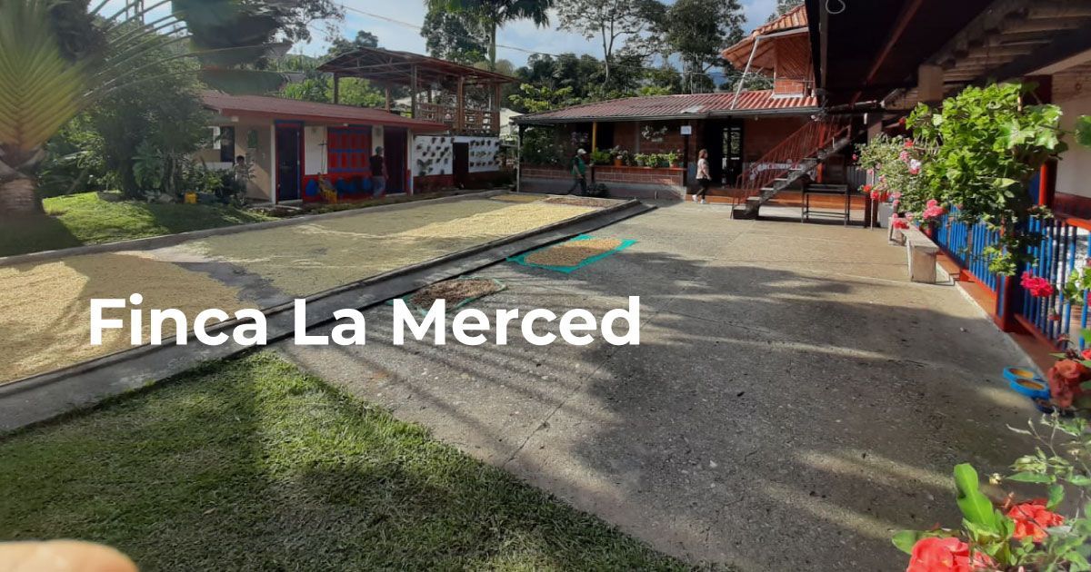 Finca La Merced