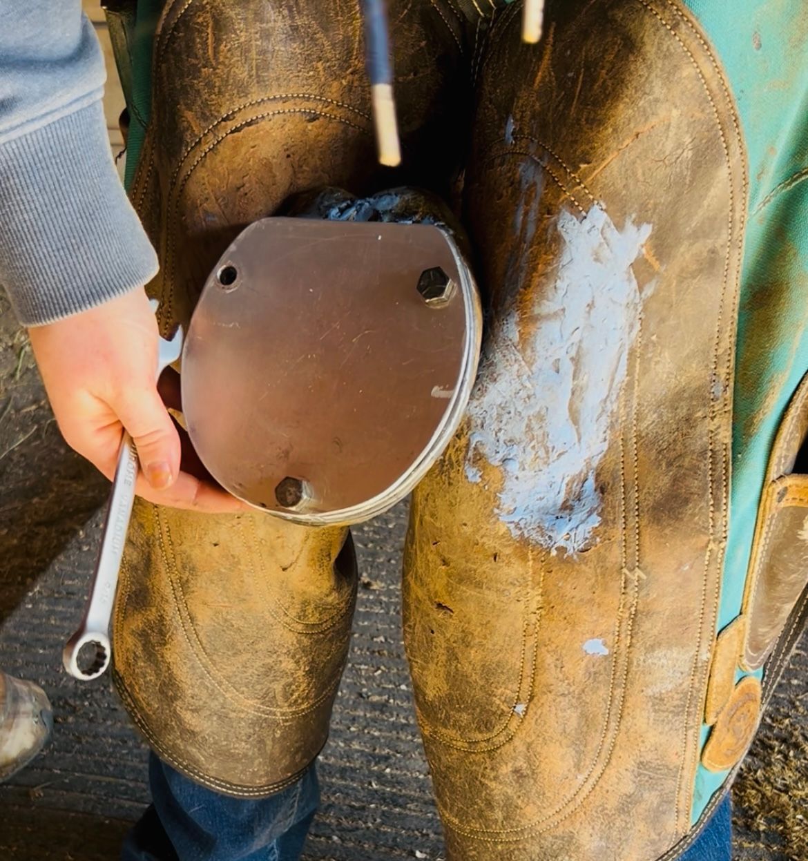 Hospital Plate Shoe for Treating a Deep Hoof Abscess