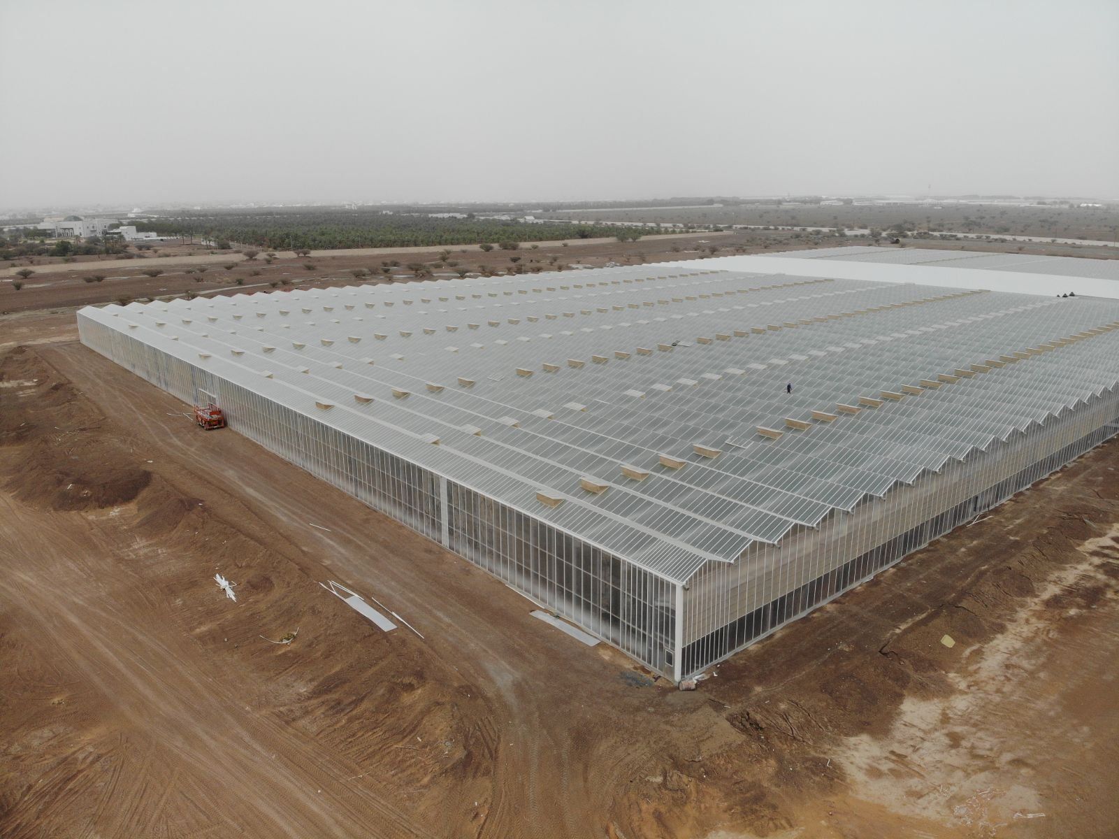 Xoline Group