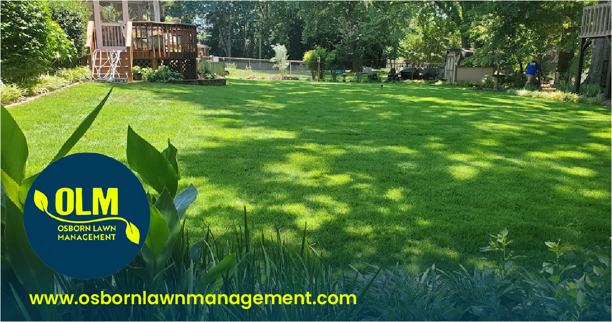 Landscaping Services Anderson SC, Lawn Care Maintenance