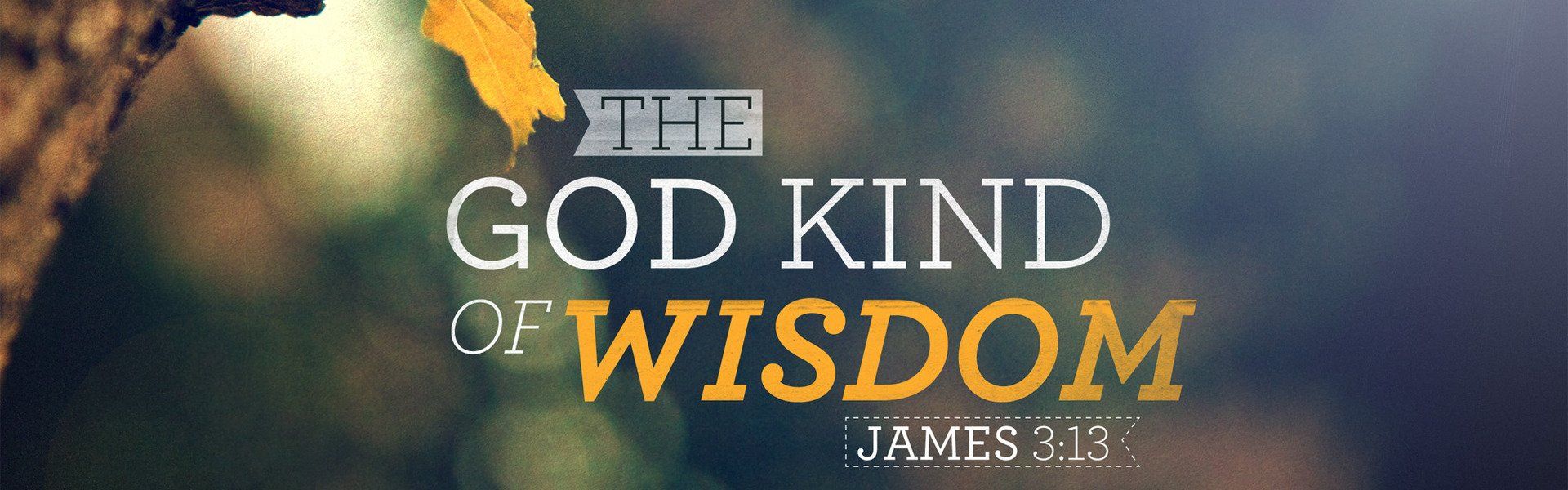 The God Kind of Wisdom