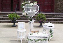 Professional Dove Displays | Dove Release | Kaila's Love Doves NJ