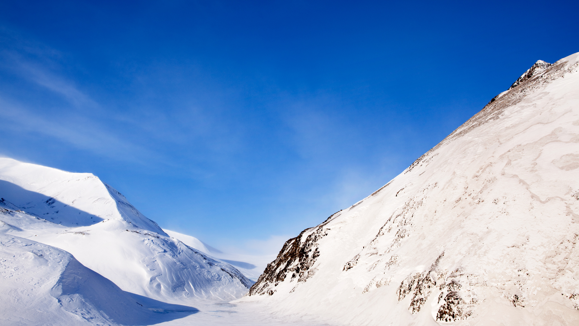 Spitsbergen Nature in September