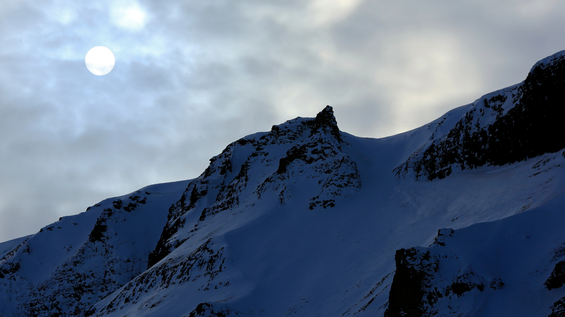 Svalbard: Most Spotted Animals in October