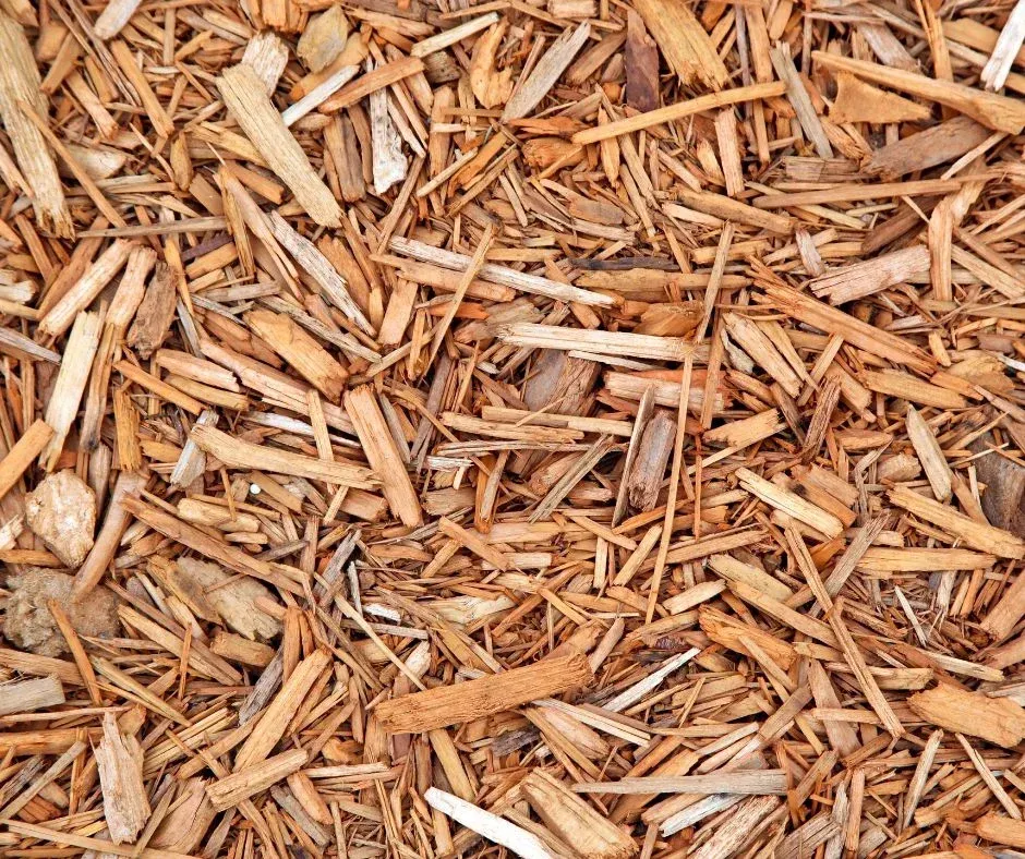 What Does The Science Say About Wood Chips And Their Eco-Friendliness?