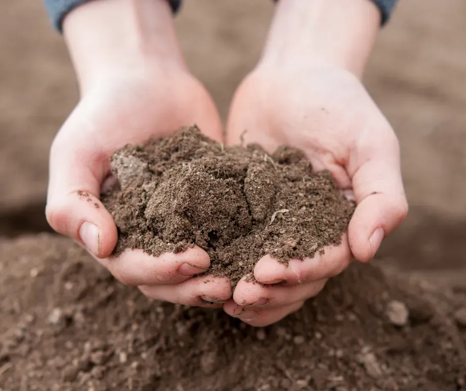 10 Different Types of Soils You Didn't Know Existed