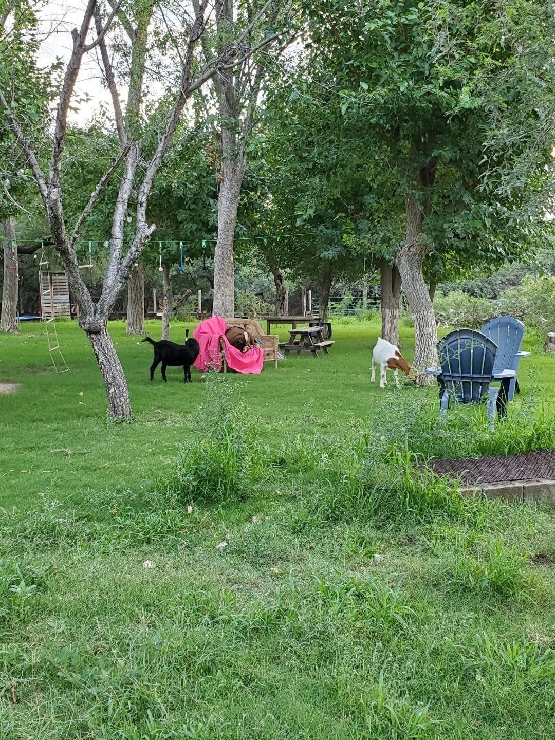 Home [www.river-bottom-ranch.com]