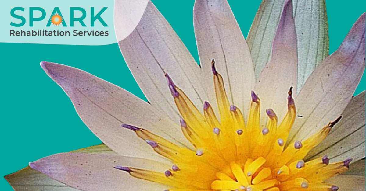 Spark Rehabilitation Services -Homepage