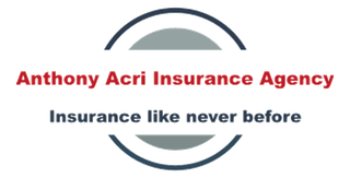 Home [www.acriagency.com]