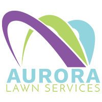 Please Take A Look At Our Latest Projects