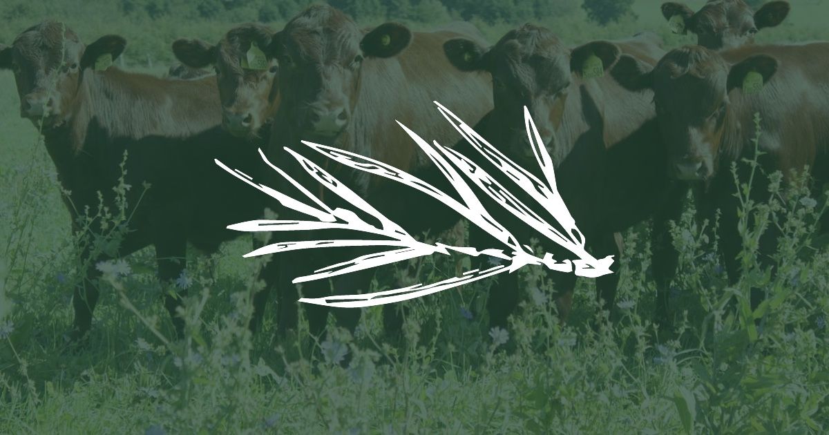 Moveable Slaughter Unit | Supporting Local & Sustainable Meat