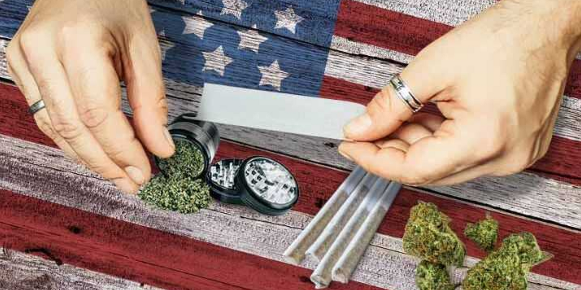 Unveiling the Untold History of Cannabis in the USA