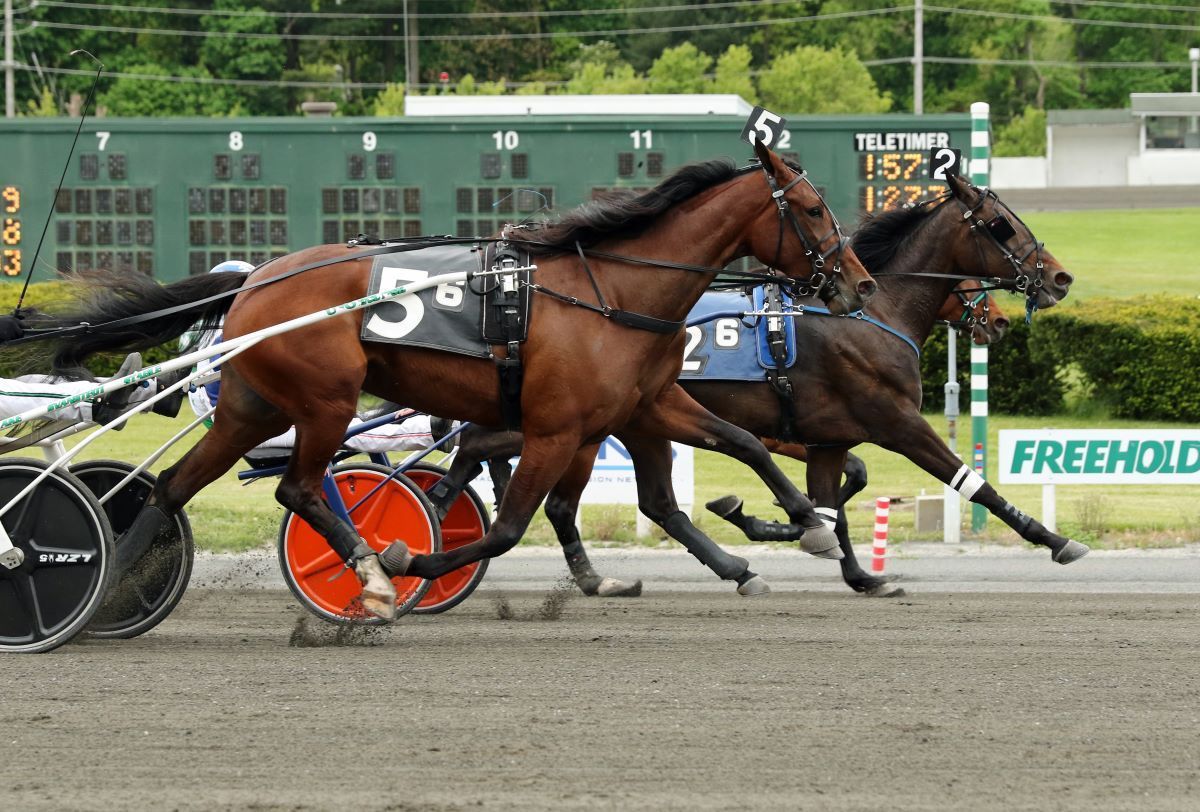 SIR PINOCCHIO WIRES FIELD IN DEXTER CUP AT FREEHOLD