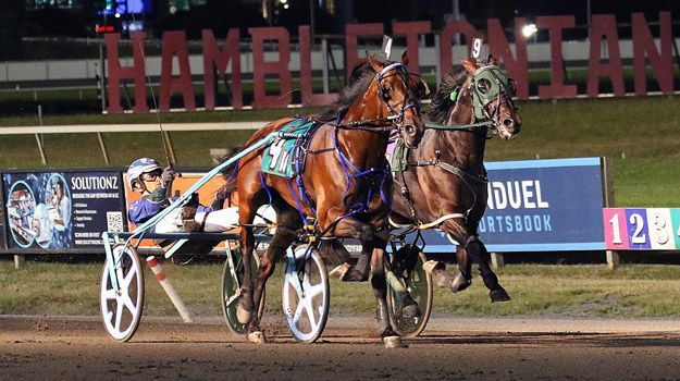 when are horses declared