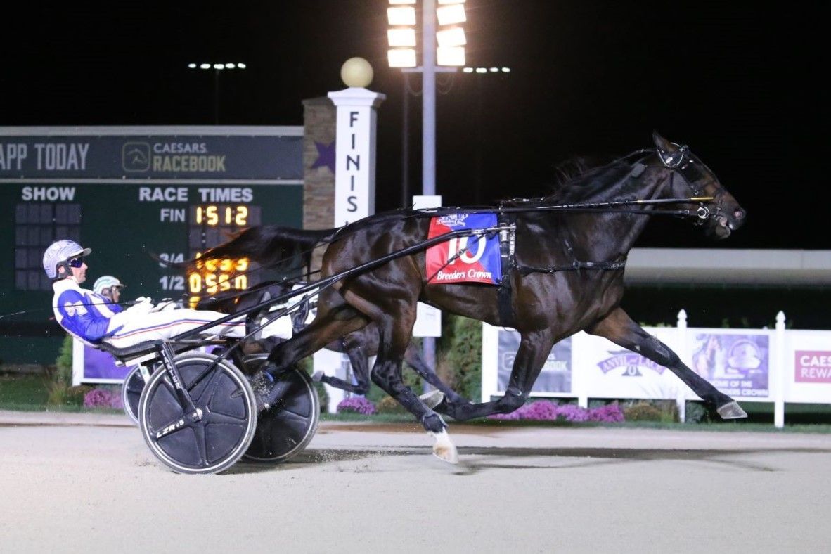 USHWA announces Dan Patch Award-winning horses