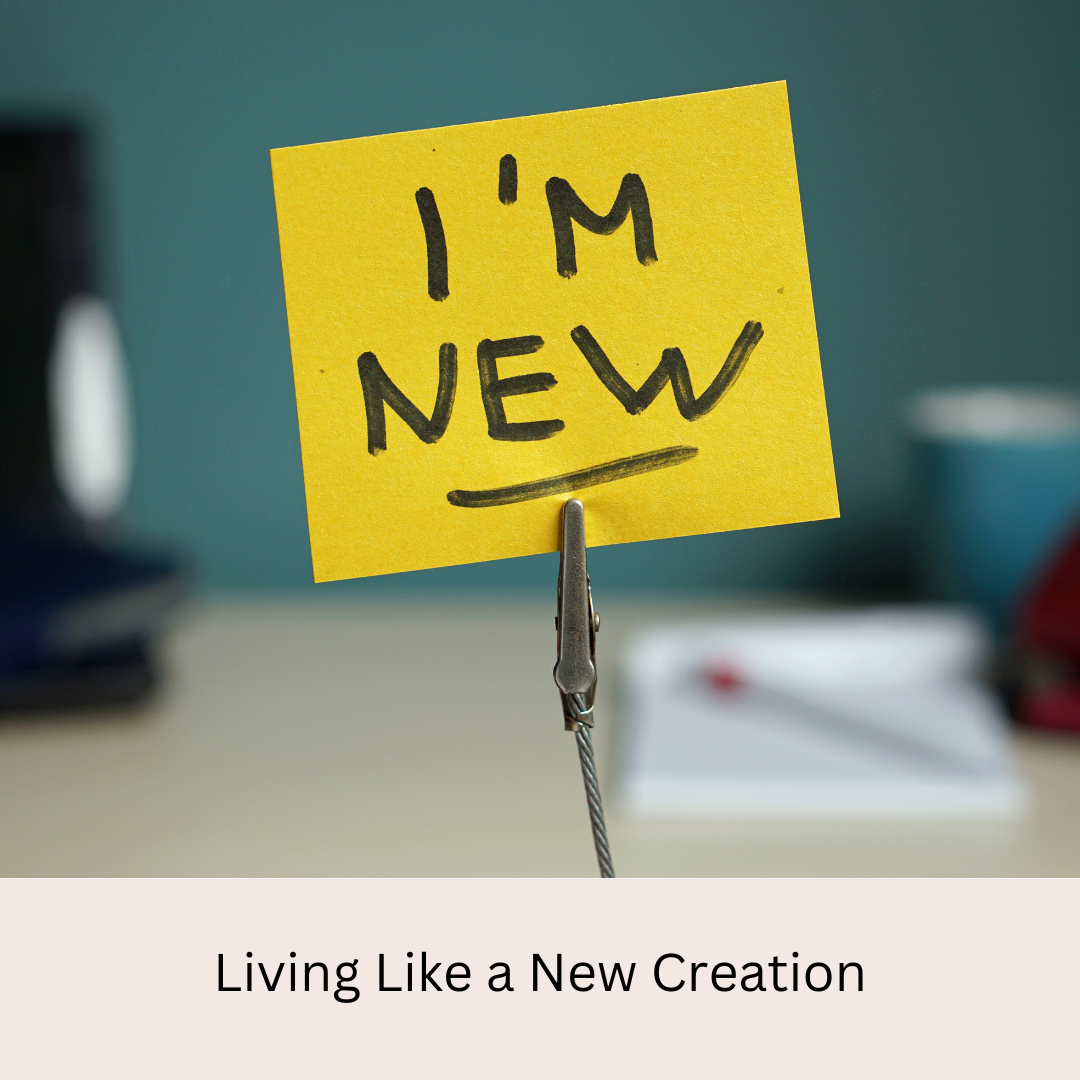 What does it mean to be a new creation?