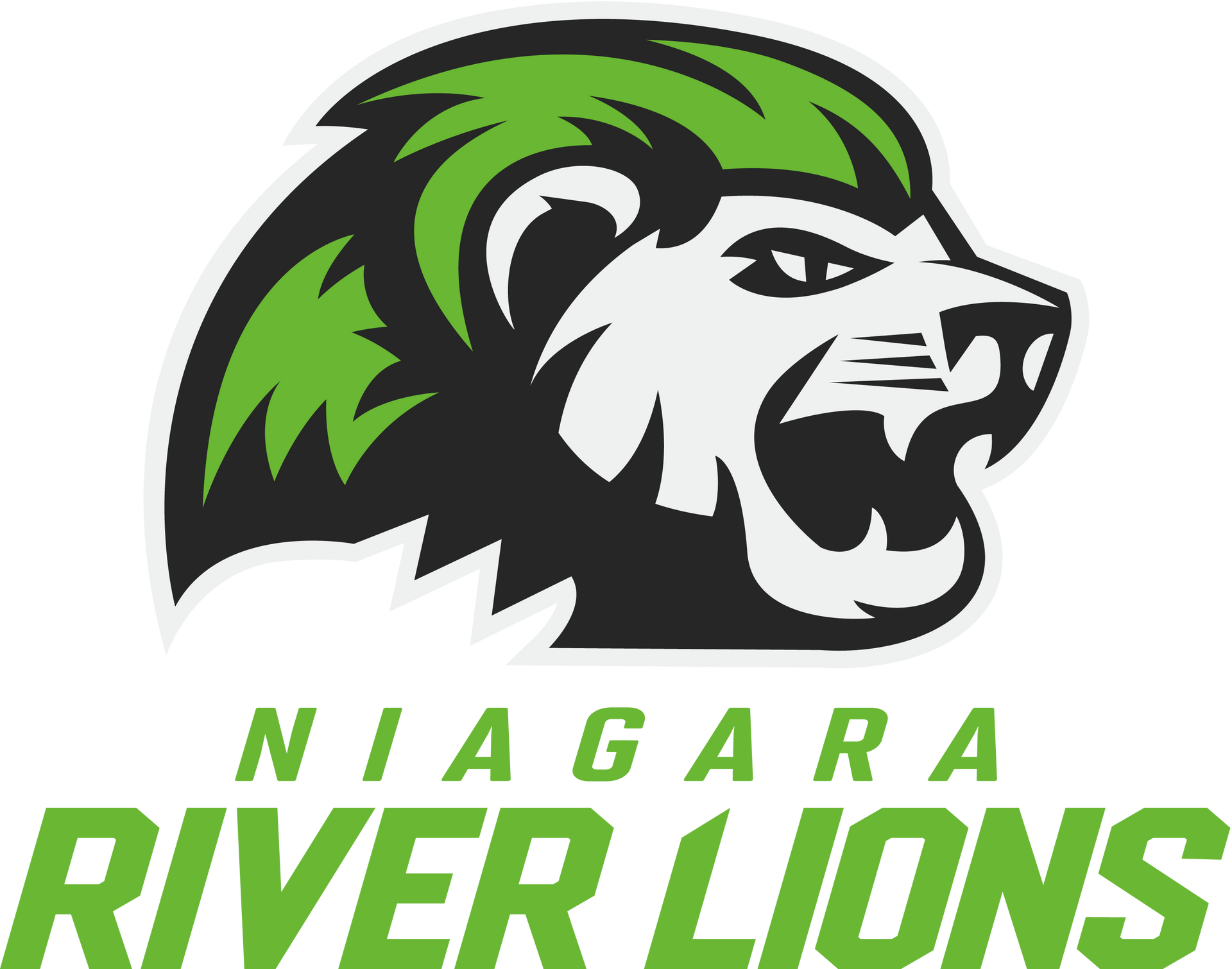 River Lions Fall to Red-Hot Mamba in School Day Showdown