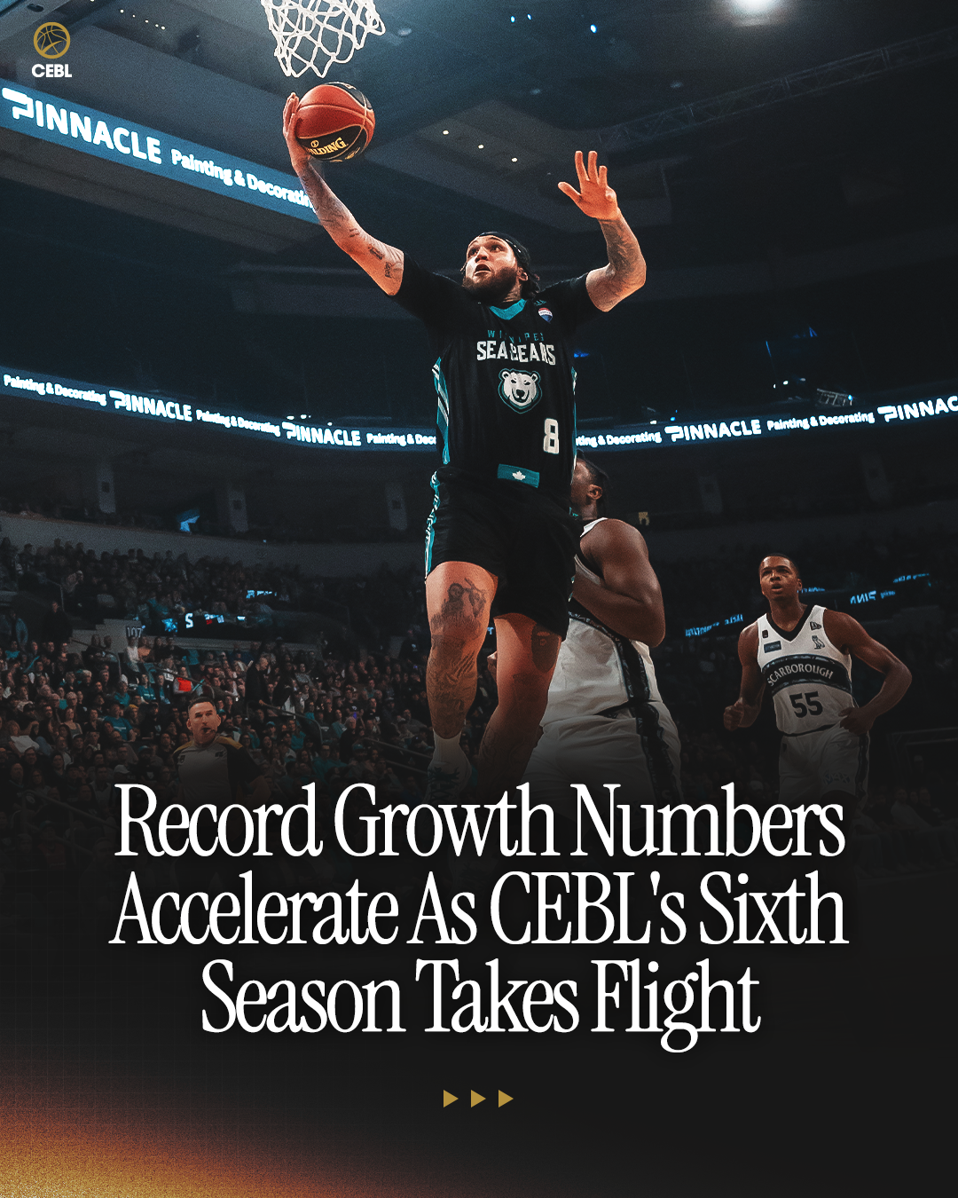 Niagara River Lions - Canadian Professional Basketball Team