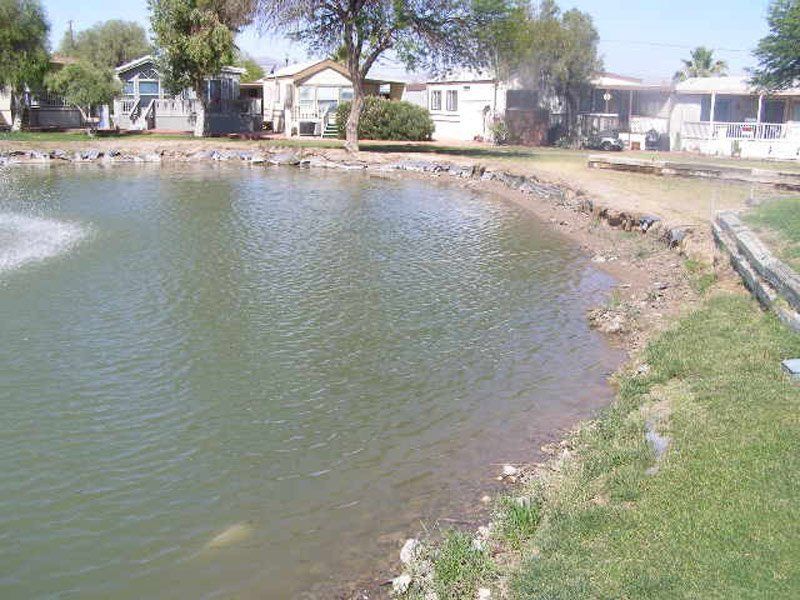 Portfolio | Bullhead City, AZ