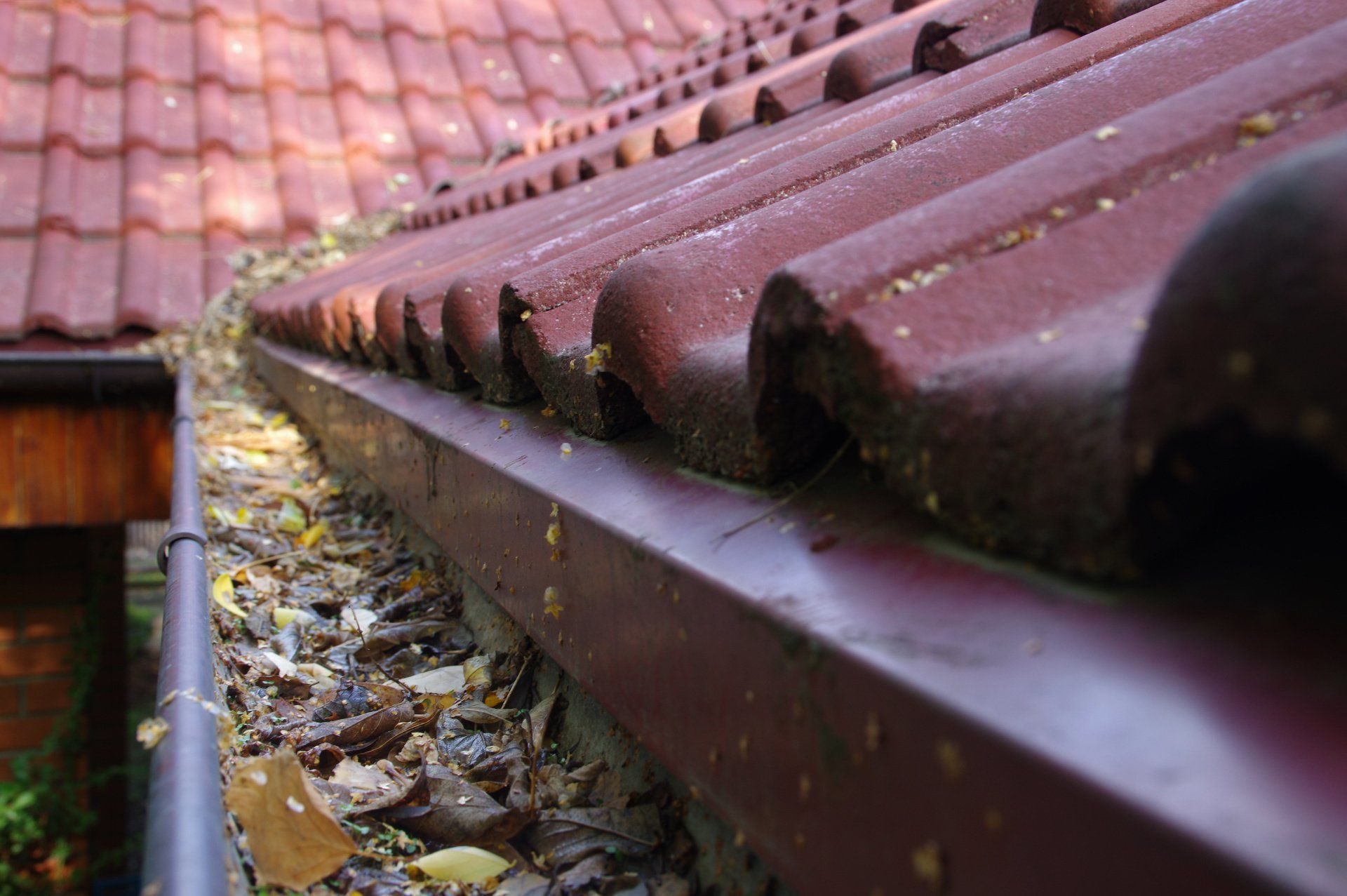 Do Clogged Gutters Impact My Roof Total Roof Solutions