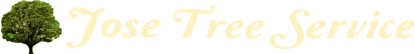 Jose Tree Services - Houston, TX - Home