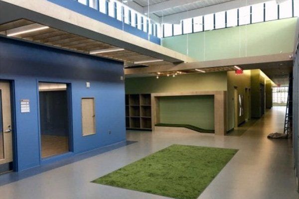 Educare - Springfield Massachusetts