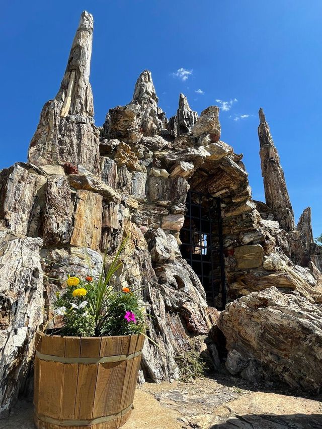 World Largest Petrified Wood Park How Long Does It Take To Make