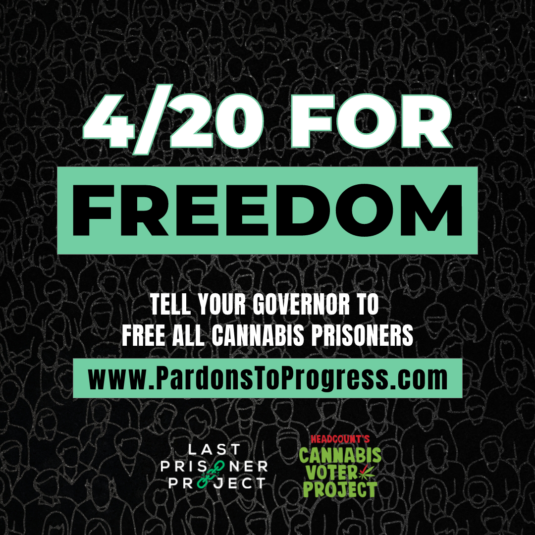 Chelsea Handler, Susan Sarandon, Daveed Diggs, And More Celebs Call For ...