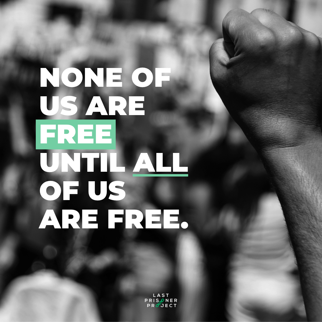 Last Prisoner Project - Cannabis Reform Nonprofit