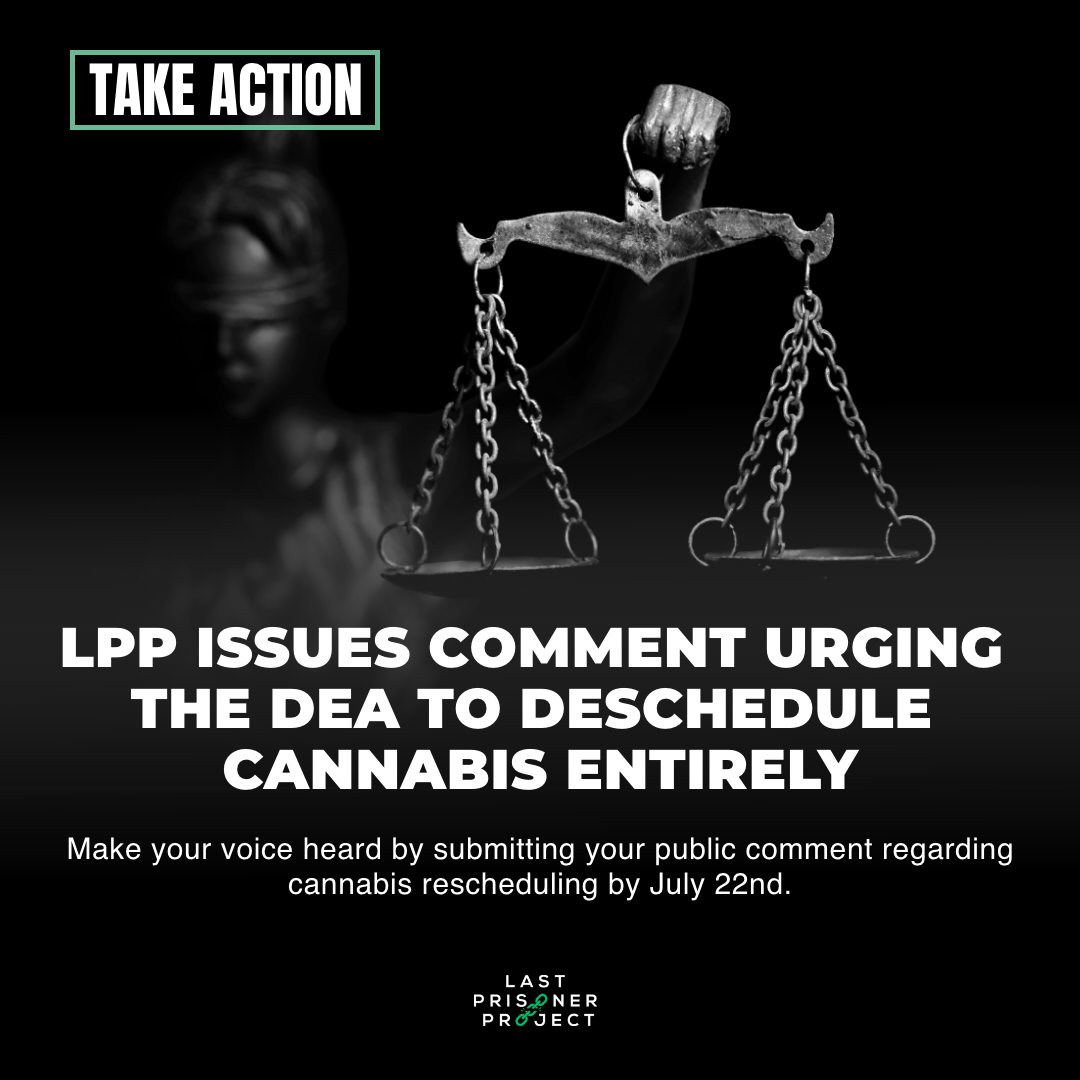 Last Prisoner Project - Cannabis Reform Nonprofit