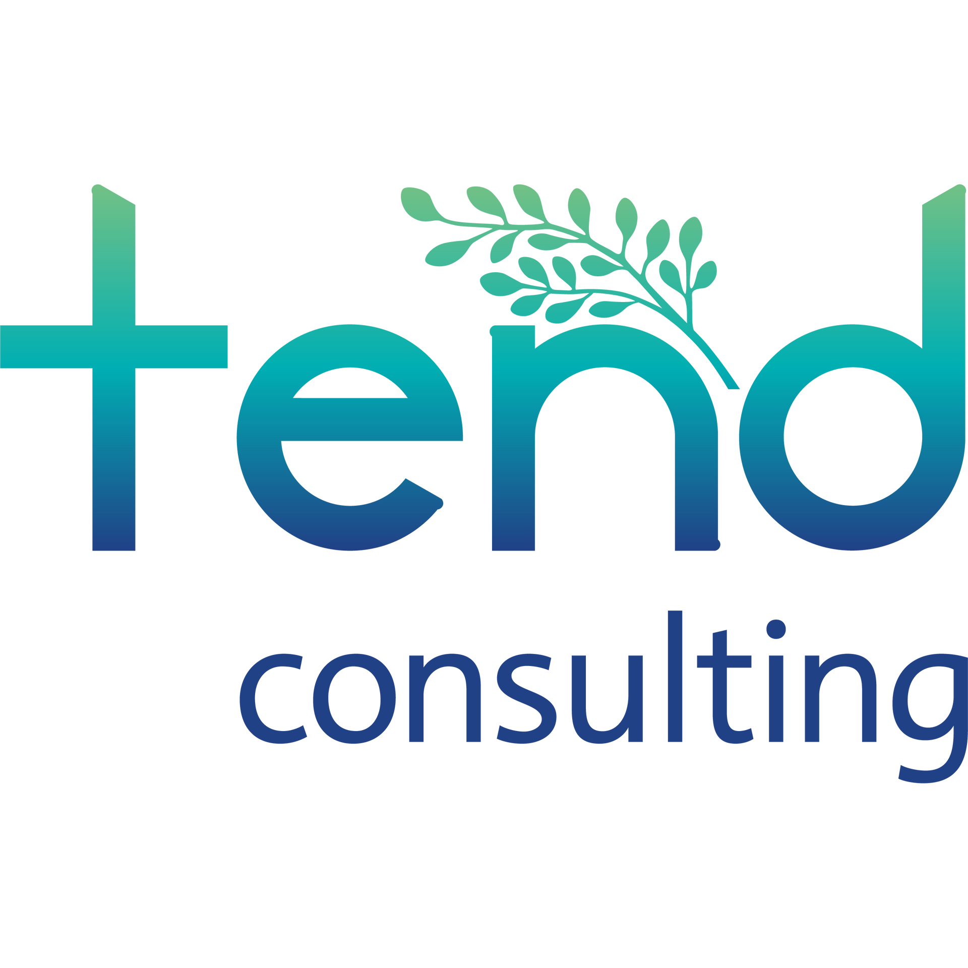 VBE Spotlight on: Tend Consulting