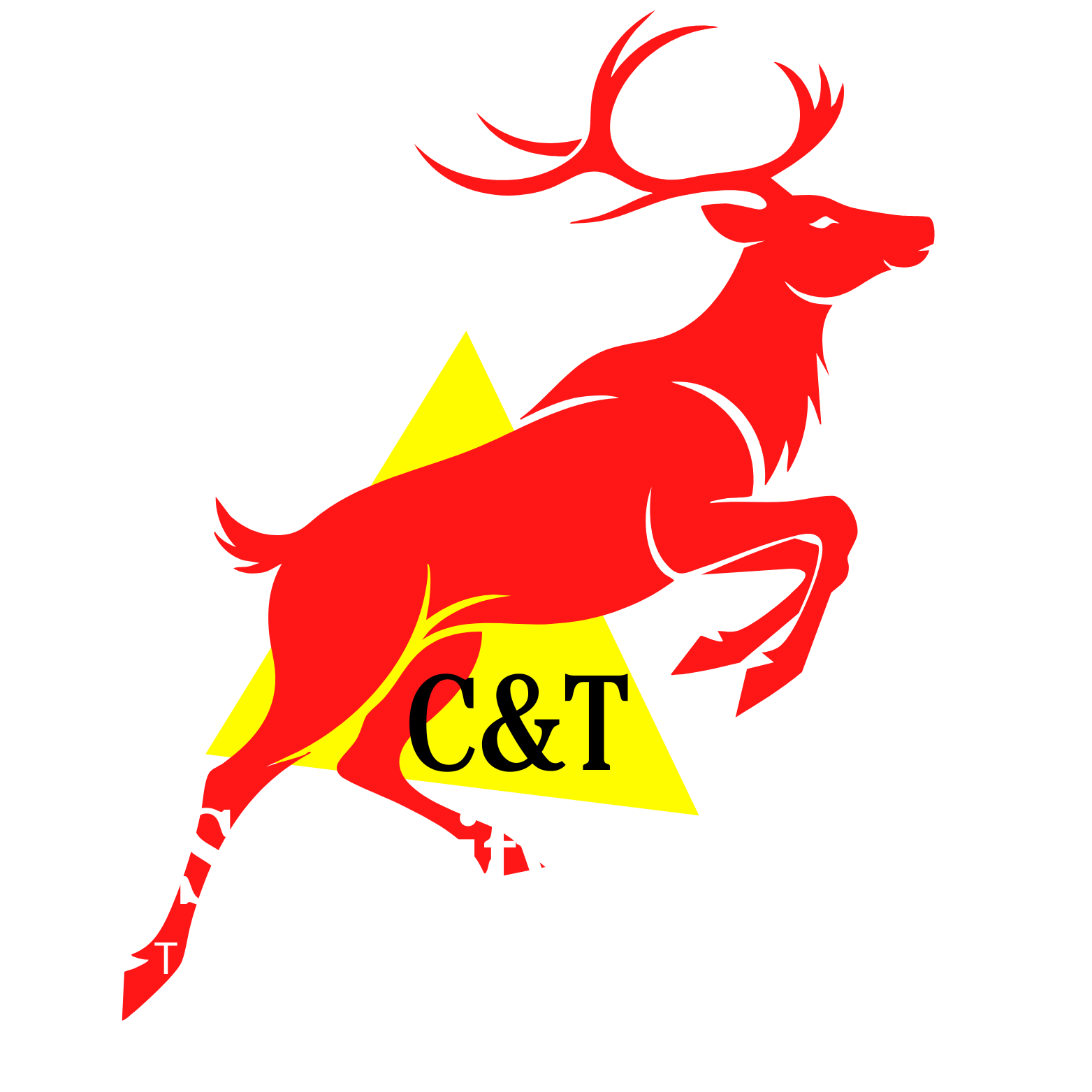 Security Company Ireland – C&T Security Group